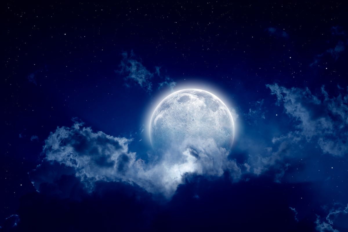 Goodnight Moon, Goodnight Room – Hotel Magazine