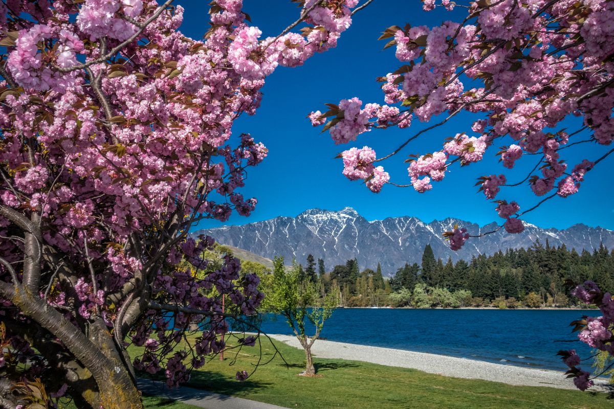 Accolades for Electrify Queenstown – Hotel Magazine