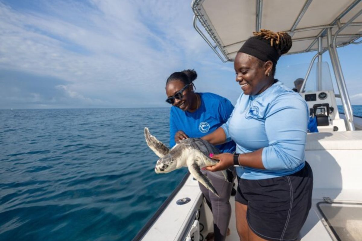Atlantis Paradise Island Celebrates World Ocean Month – Hotel Magazine